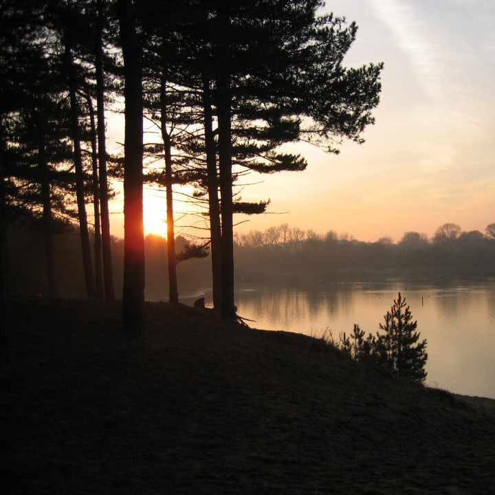Schemerexcursie bij Bezoekerscentrum De Kennemerduinen in Overveen ...
